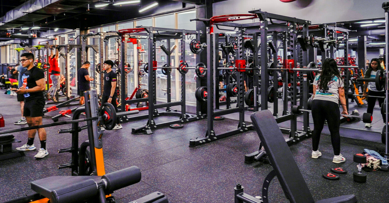 Ejercita tu mejor versión en Taurus Gym – Revista Zona Libre