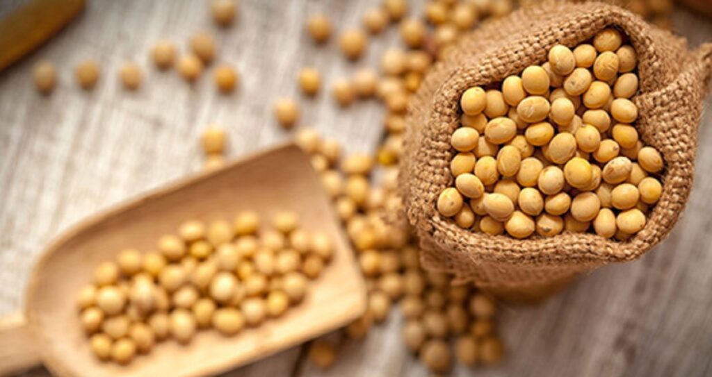 La soya sostenible fortalece la seguridad alimentaria en Ecuador ...